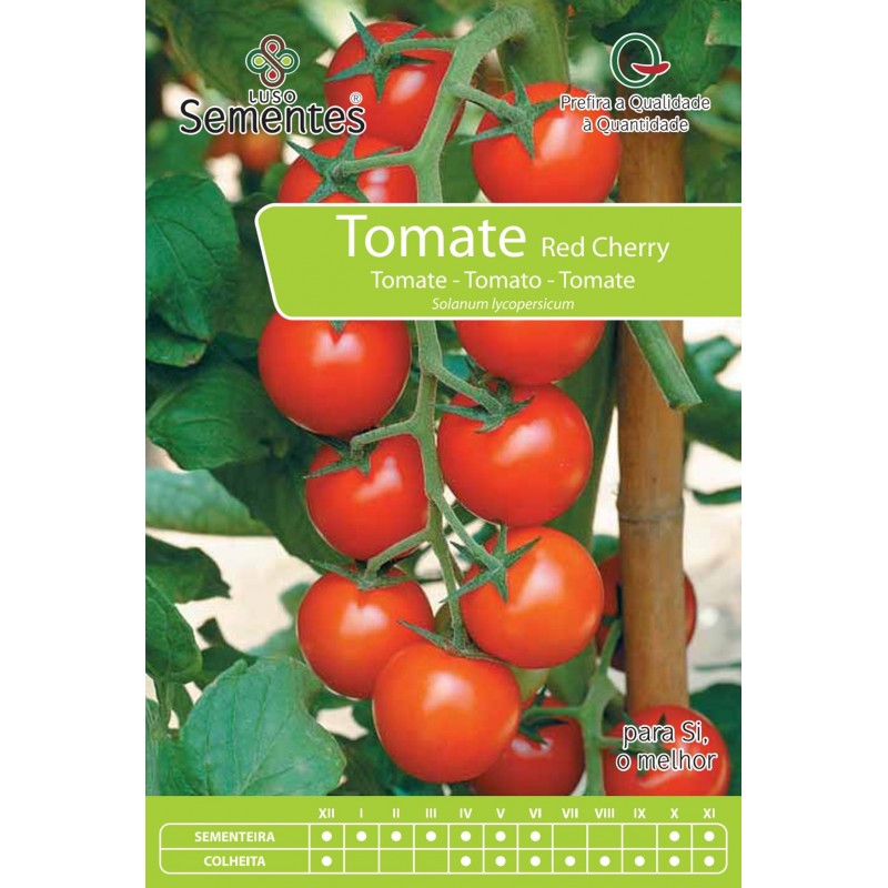 Tomate Red Cherry