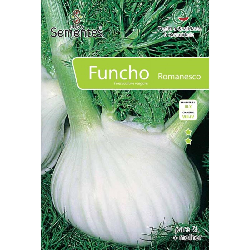 Funcho Romanesco