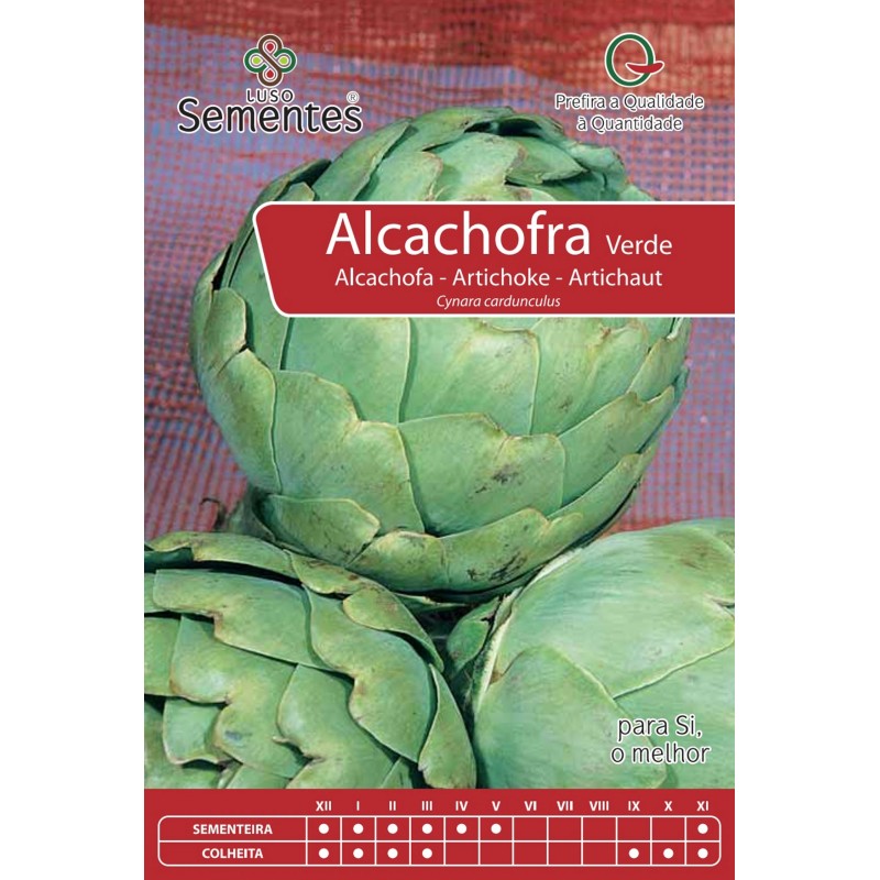 Alcachofra Verde